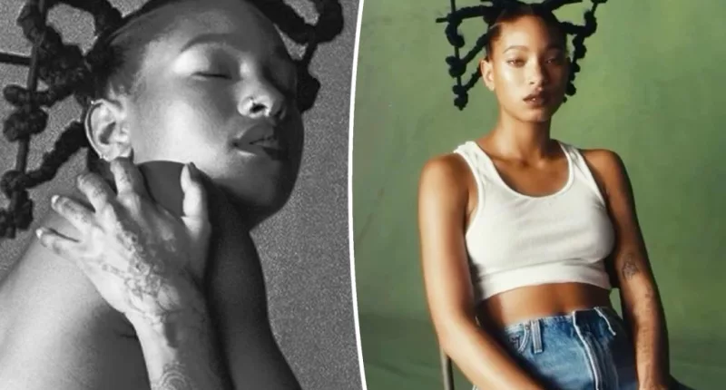 Willow Smith Bares Abs In Black And White Teaser Image For New Song Symptom Of Life Newsfinale